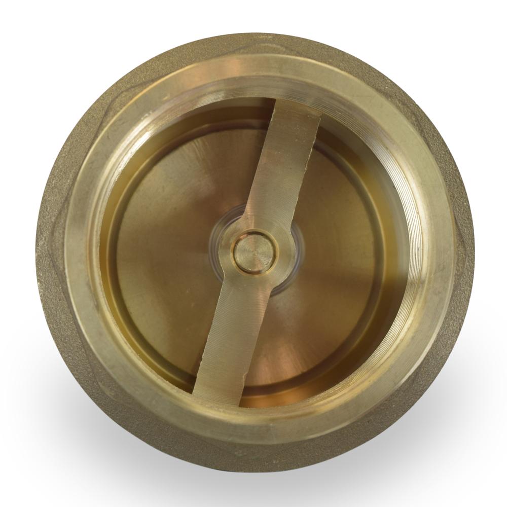 2" Threaded Spring Check Valve, Lead-Free | CANARSEE.COM