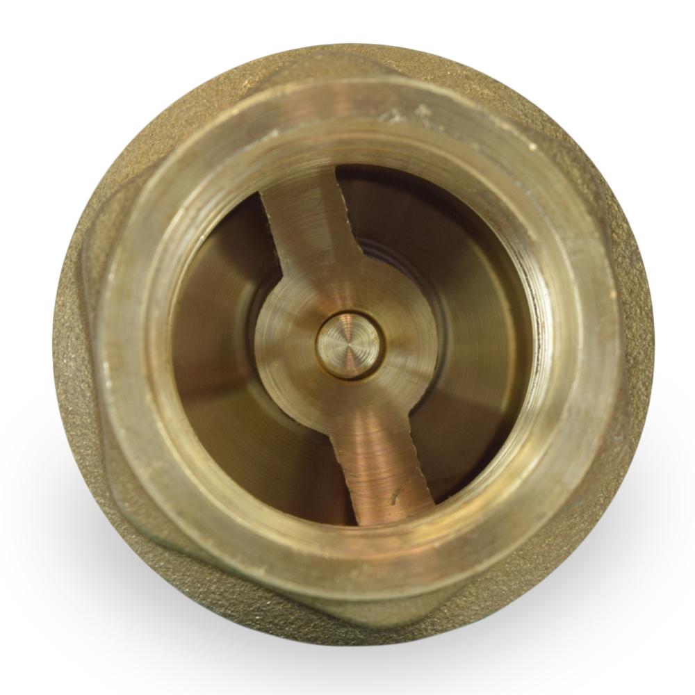 3/4" Threaded Spring Check Valve, Lead-Free | CANARSEE.COM